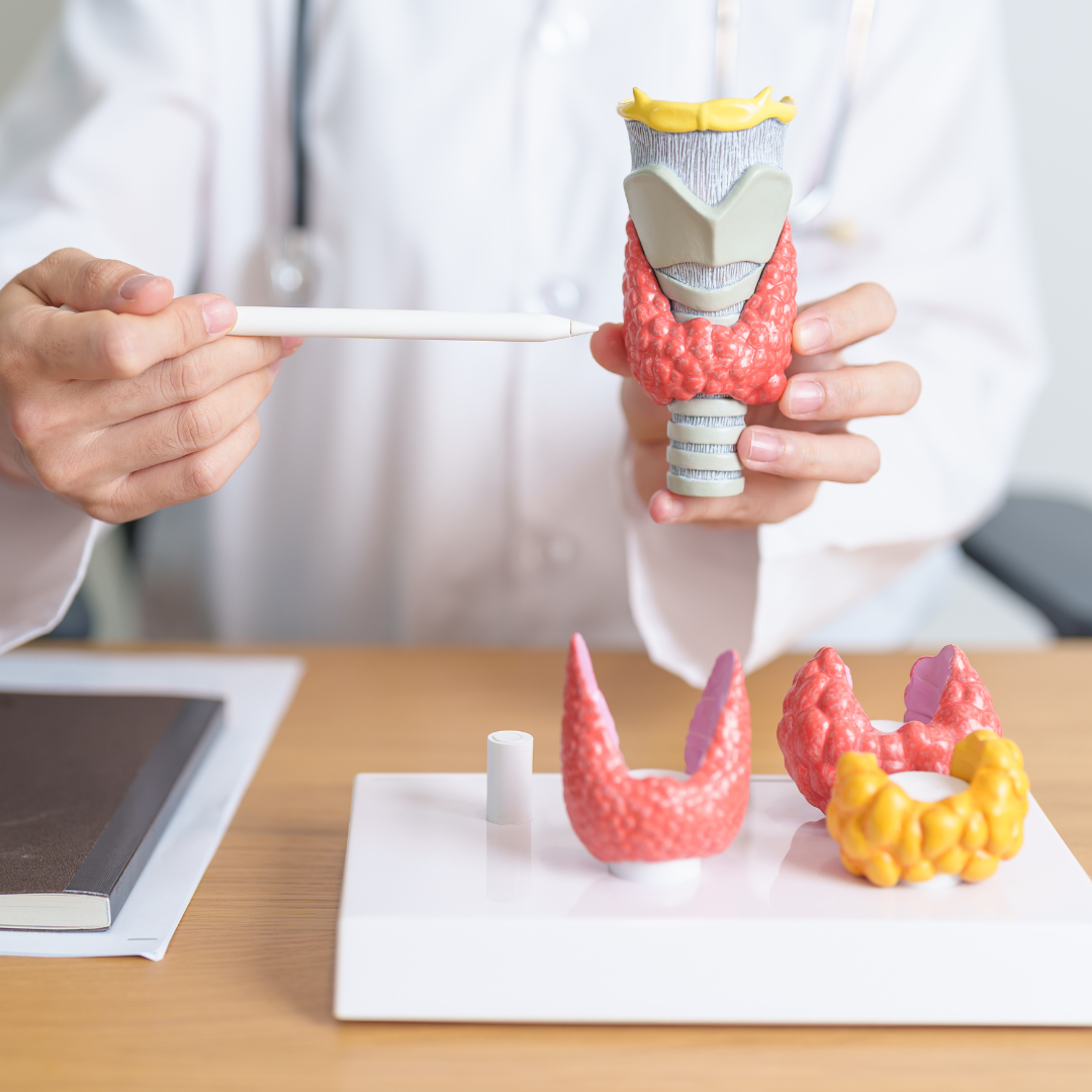 Thyroid Health And Exercise - Vallee Health Repair, PLLC